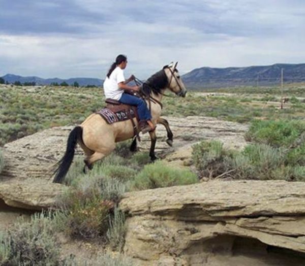 2015 Mustang Versatility Trail Ride Buckle Series and Wild Horse ...